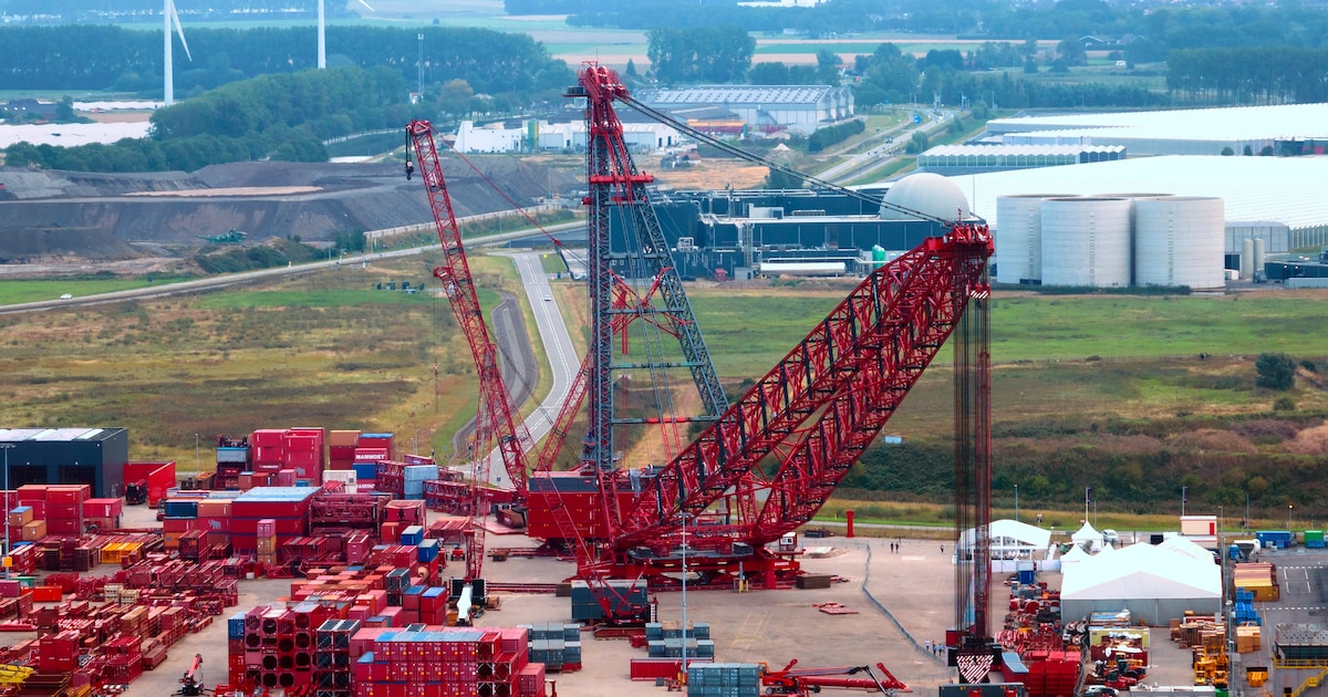 Wow! Gaat dat zien in Westdorpe, de grootste kraan ter wereld staat ...