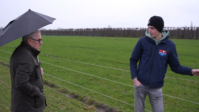 De wolf komt... maar aan deze schapen kan hij beter voorbij lopen | Zeeuws nieuws | pzc.nl