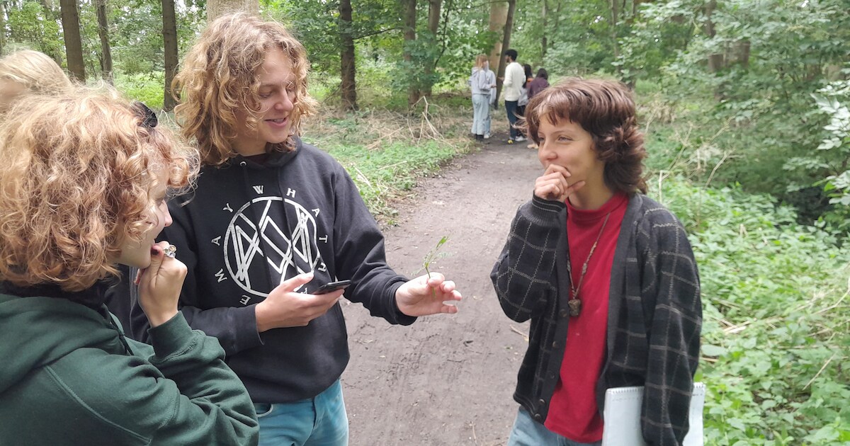 Festival zet stadsnatuur Middelburg in het zonnetje: ‘Het is een soort ...