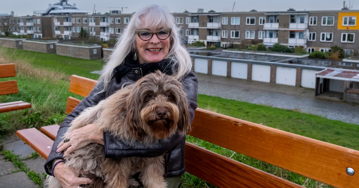 Sloop van woningen op ’t Eiland doet pijn: ‘Dit is gouden grond, daar ...