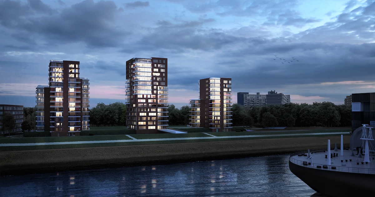 Rijk helpt bouw van woontoren Pattistpark, Kop van Noord en Sasse ...