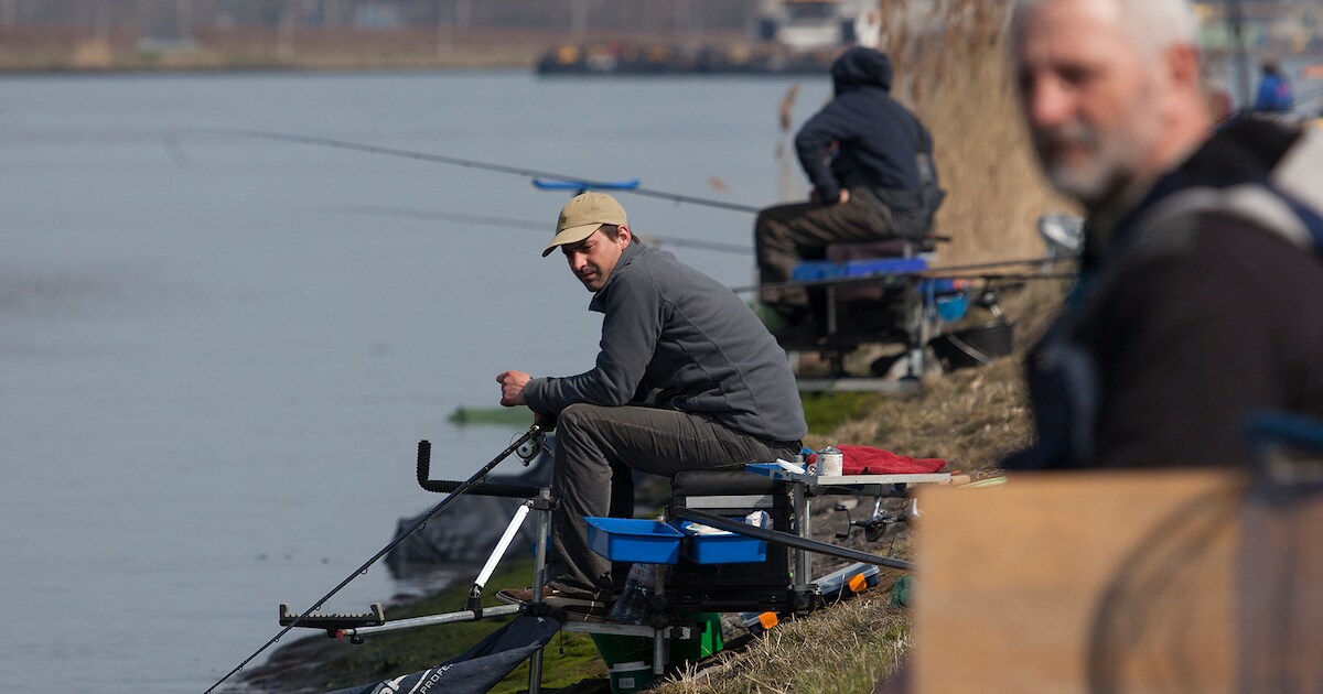 Kanaal Gent-Terneuzen zo gezond als een vis, maar chemische toestand is ...