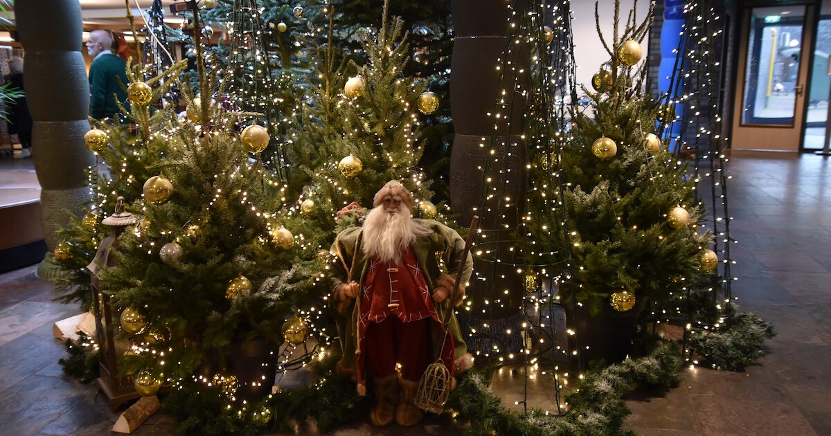 MIJN FOTO | Kerstsfeer in Ter Reede | Mijn Foto | pzc.nl