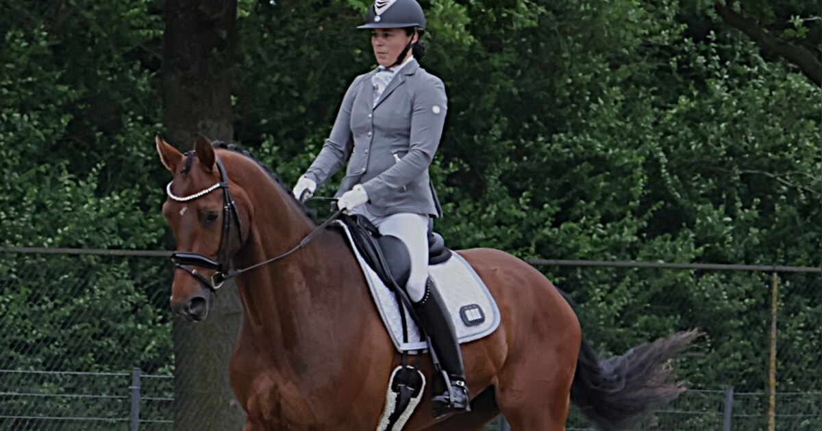 Dressuuramazone Ellen van Turnhout ‘zweeft’ met Ovicii Satori naar ...