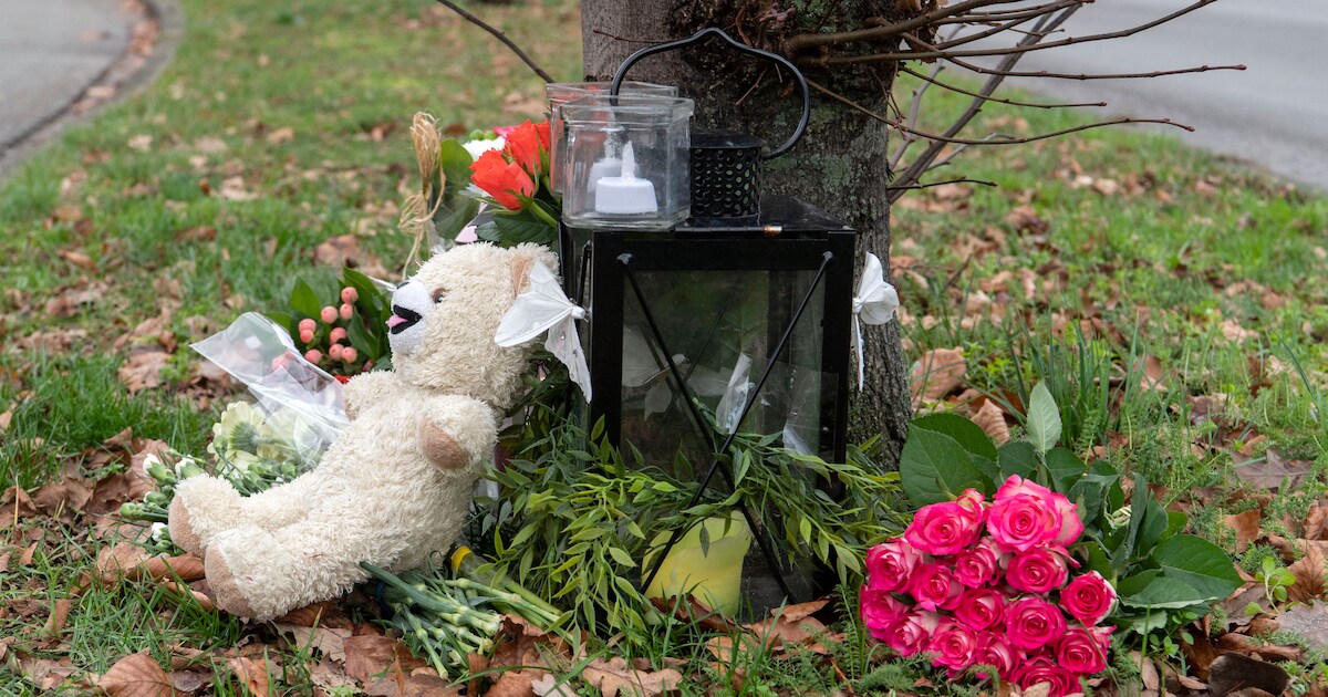 Advocaat over klaphamer-drama in Haaksbergen: ‘Nachtmerrie van ongekend ...