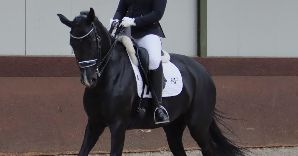 Stephanie de Frel heeft met Nicaragua een paard voor het zwaardere werk ...