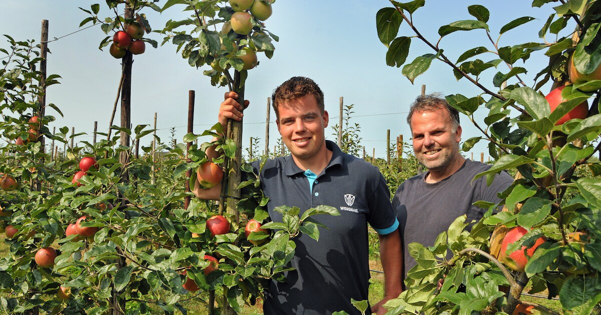 Duizend kersenbomen, meer dan tweeduizend appelbomen en je mag het ...