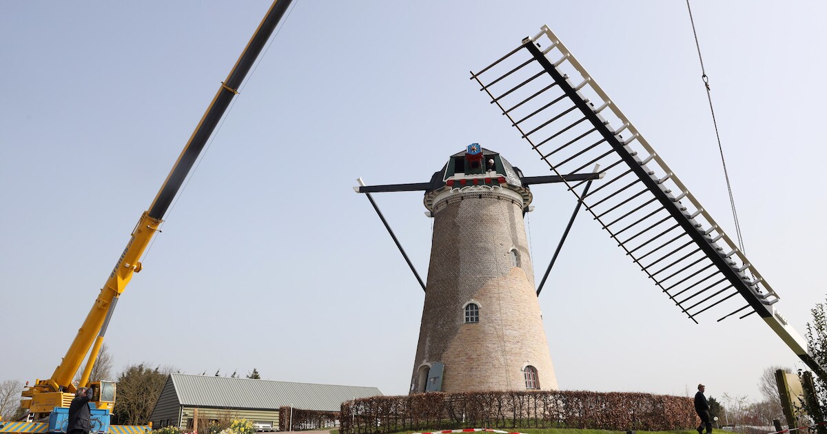 Molens in Sluis openen deuren voor Open Monumentendag | Sluis | PZC.nl