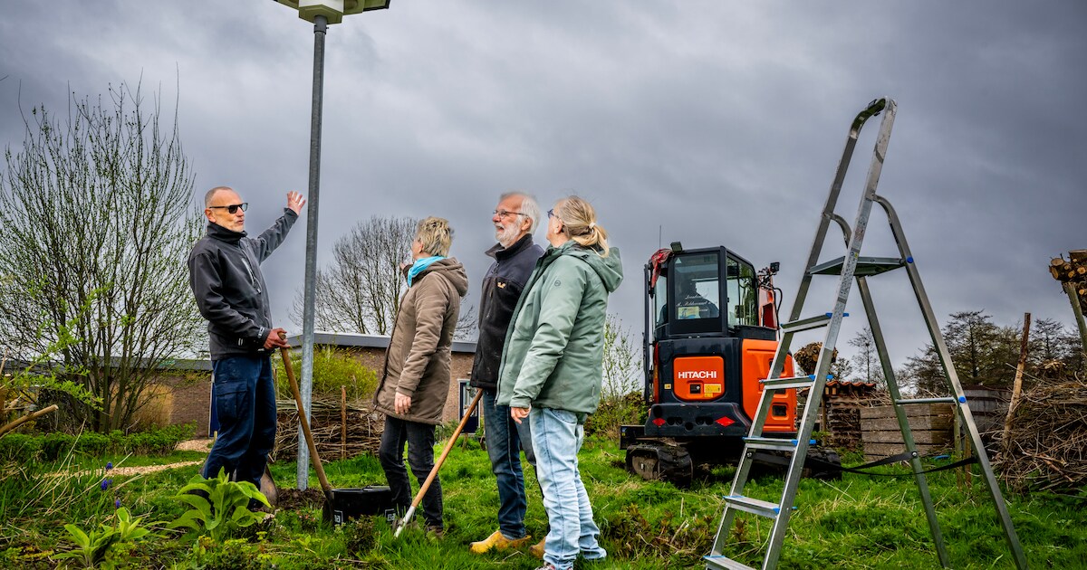 Tinie’s droom ging in vervulling met deze tuin: ‘Alles wat je hier ziet ...