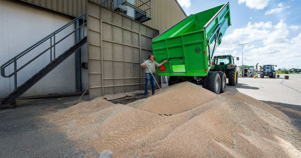 Landbouwcoöperatie CZAV geeft leden 1,5 miljoen euro terug | Bevelanden | PZC.nl