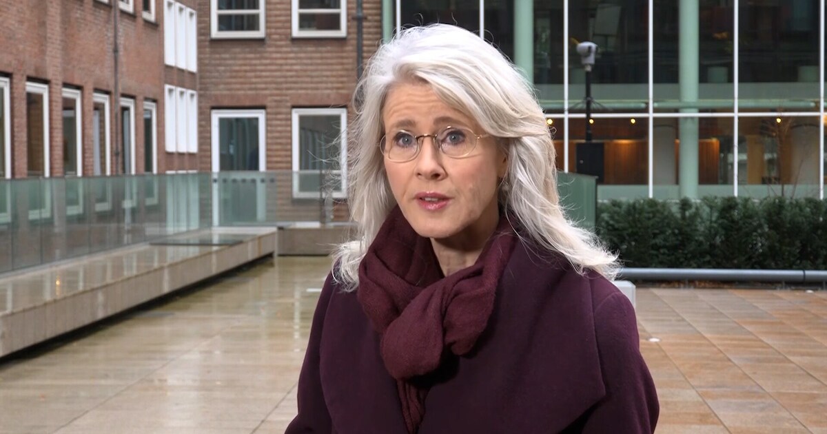 Ongemak in kabinet: VVD-ministers nemen afstand van kritiek Mona ...