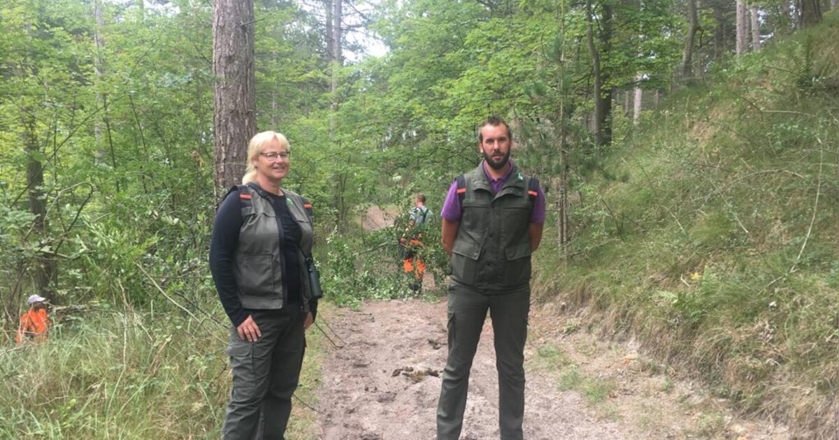 Bospest is een schatje om te zien, maar een draak om in je bos te ...