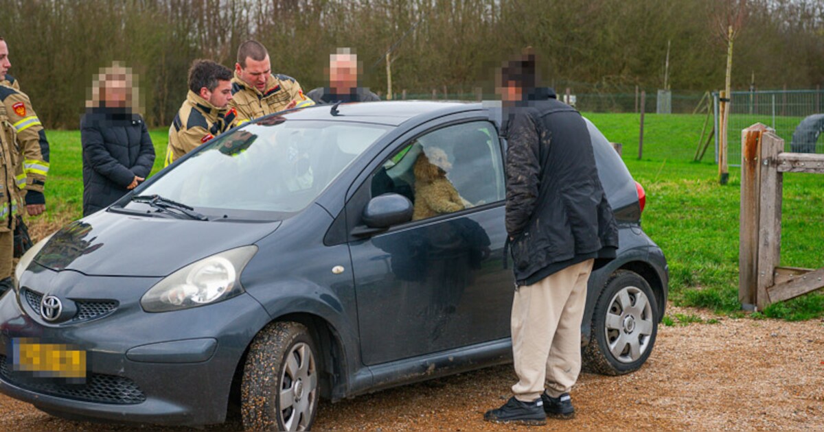 Hondje heeft geen zin in kerst en doet auto op slot als baasje even ...