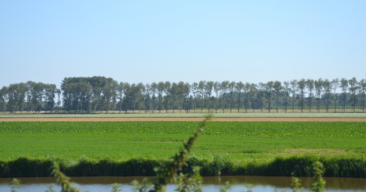 Filmopnames Noord-Beveland starten binnenkort | Regio | PZC.nl