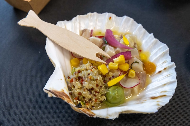 Kingfish: het bedrijf dat bijna zo snel groeit als zijn eigen vis ...