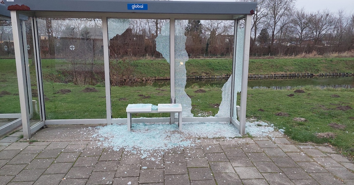 Terneuzen schat schade jaarwisseling op 40.000 tot 50.000 euro ...
