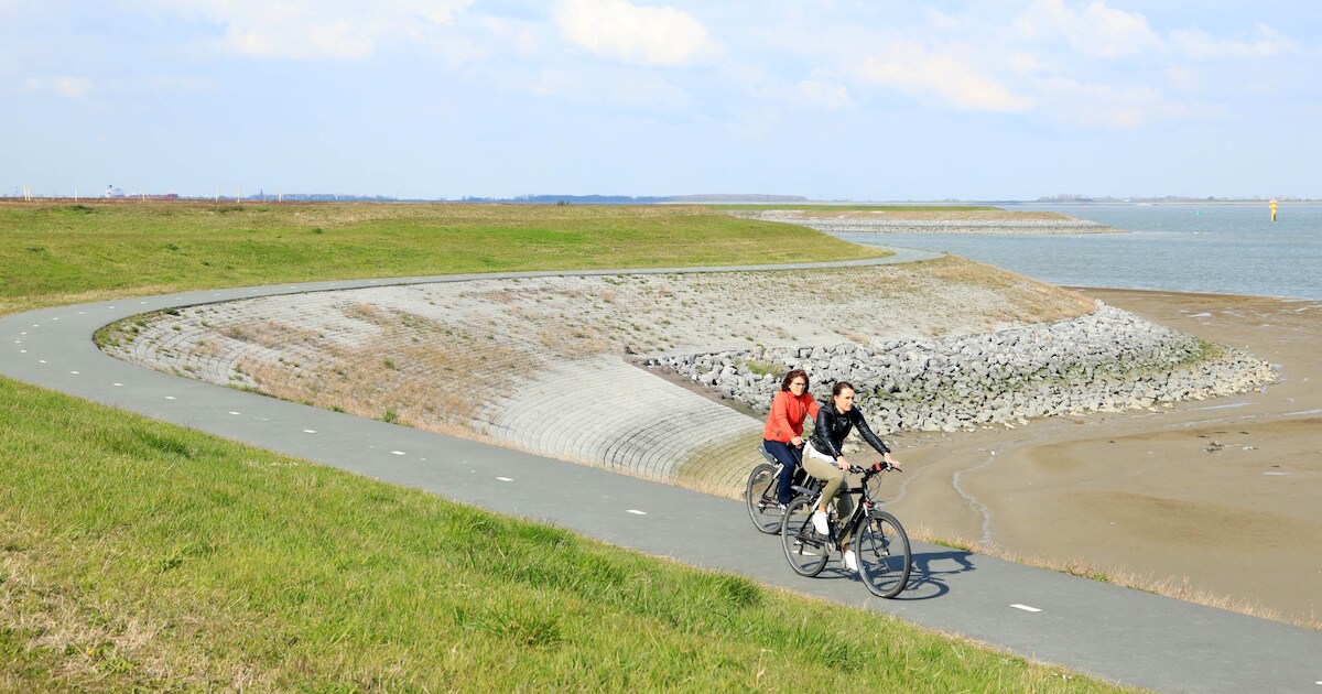 Vervuiling zeedijk Perkpolder zorgt voor steeds meer ongerustheid na ...