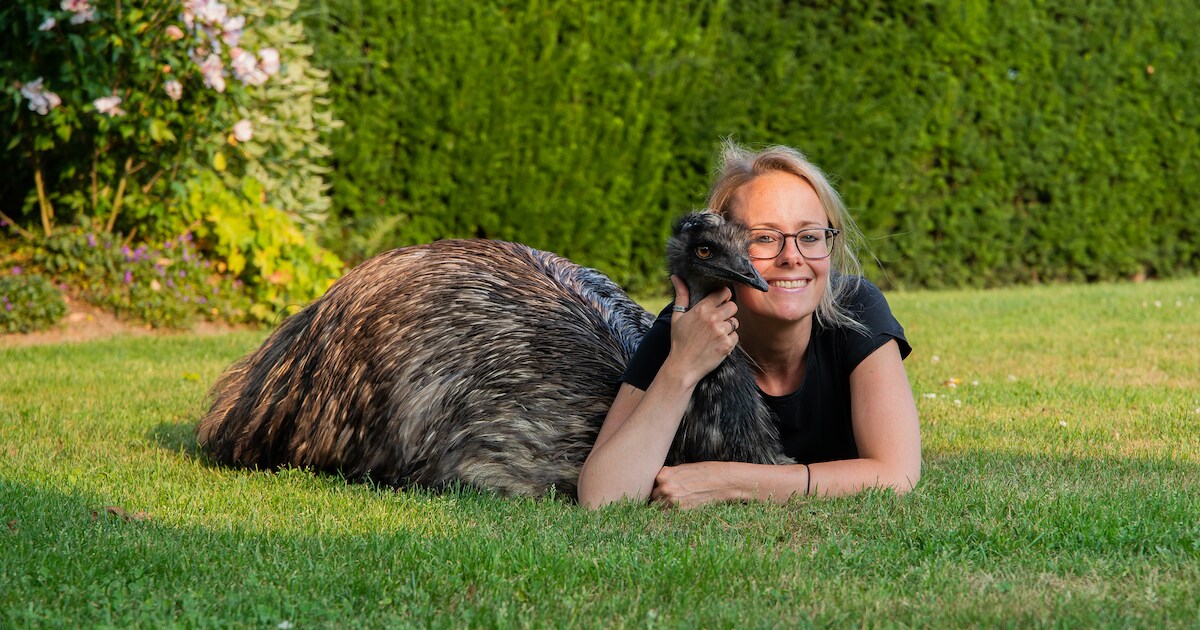 Jill heeft 'een dinosaurus' in haar achtertuin: 'Heeft nog een volledig ...