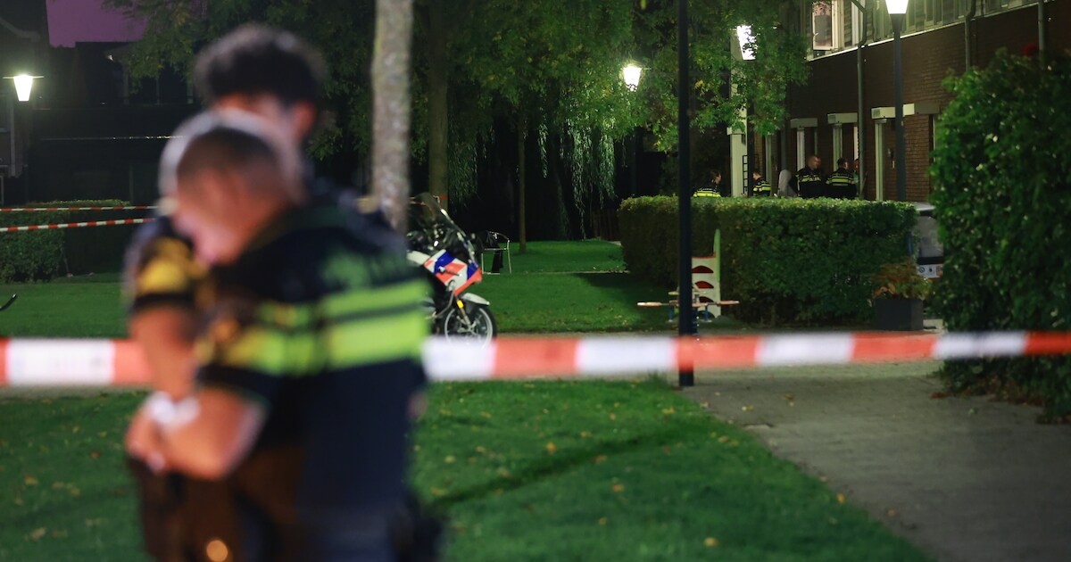 Politie schiet hond dood nadat het dier zijn baasjes (45 en 49) aanvalt ...