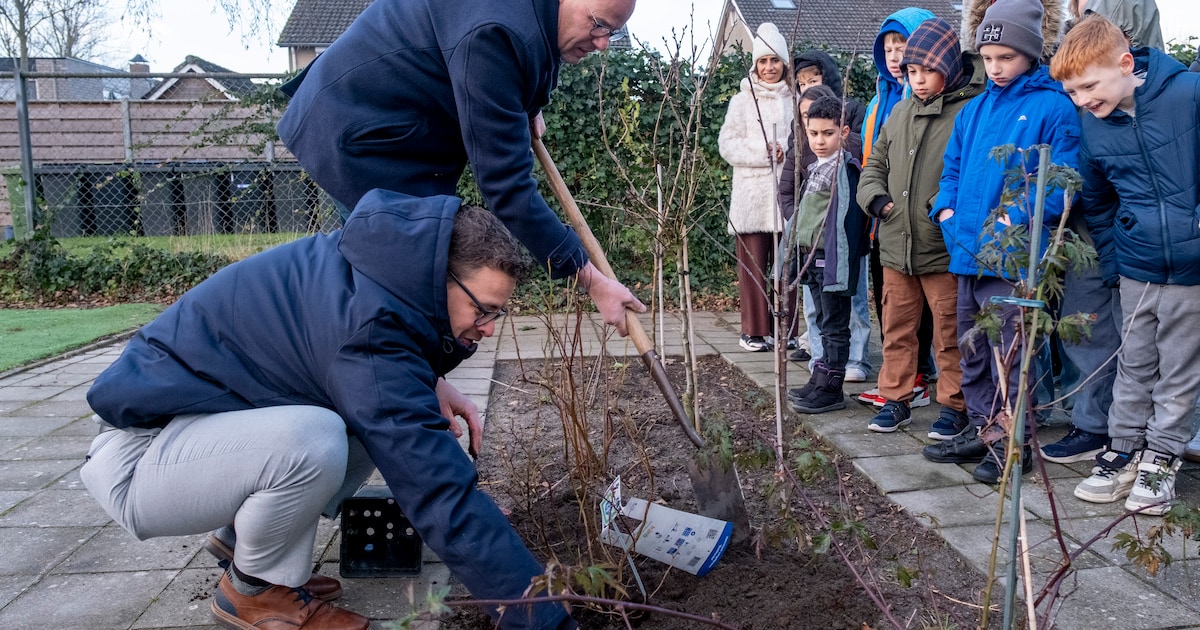 Sluis gaat als Zeeuws kampioen stug door met tegelwippen | Sluis | PZC.nl