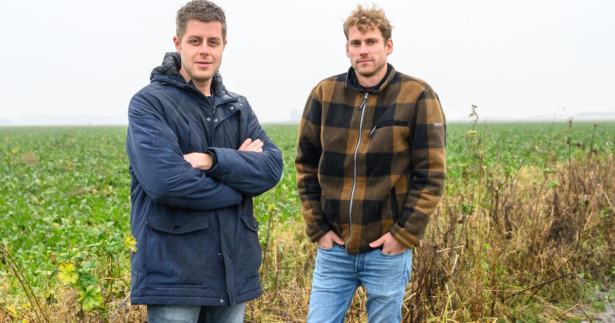 Deze boeren zijn teleurgesteld: ze investeerden duizenden euro’s, maar ...