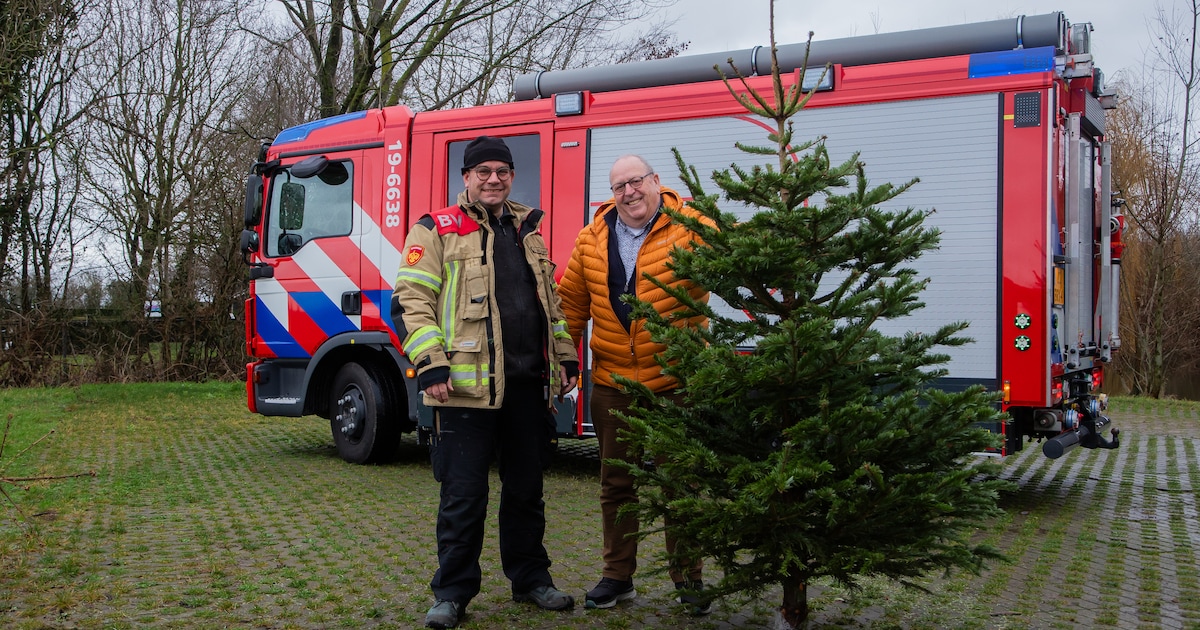 Kerstbomen in IJzendijke klaar voor vreugdevuur | Sluis | PZC.nl