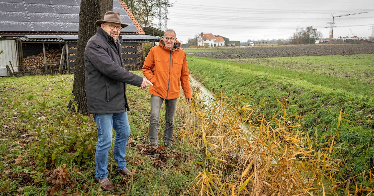 Inwoners ‘s-Heer Abtskerke verrast: ‘blijkt de ambachtsheer visrecht te ...