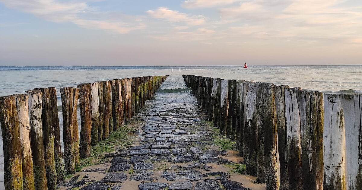 MIJN FOTO | Altijd blij om in Zoutelande te zijn | Van de lezer Zeeuws nieuws | pzc.nl