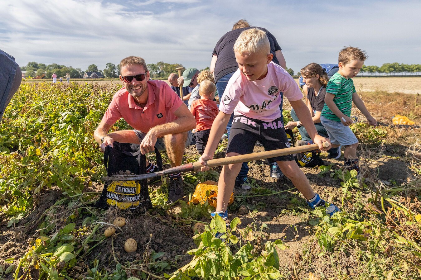 Niets mooier dan eerst je eigen aardappels rooien en vanavond friet ...