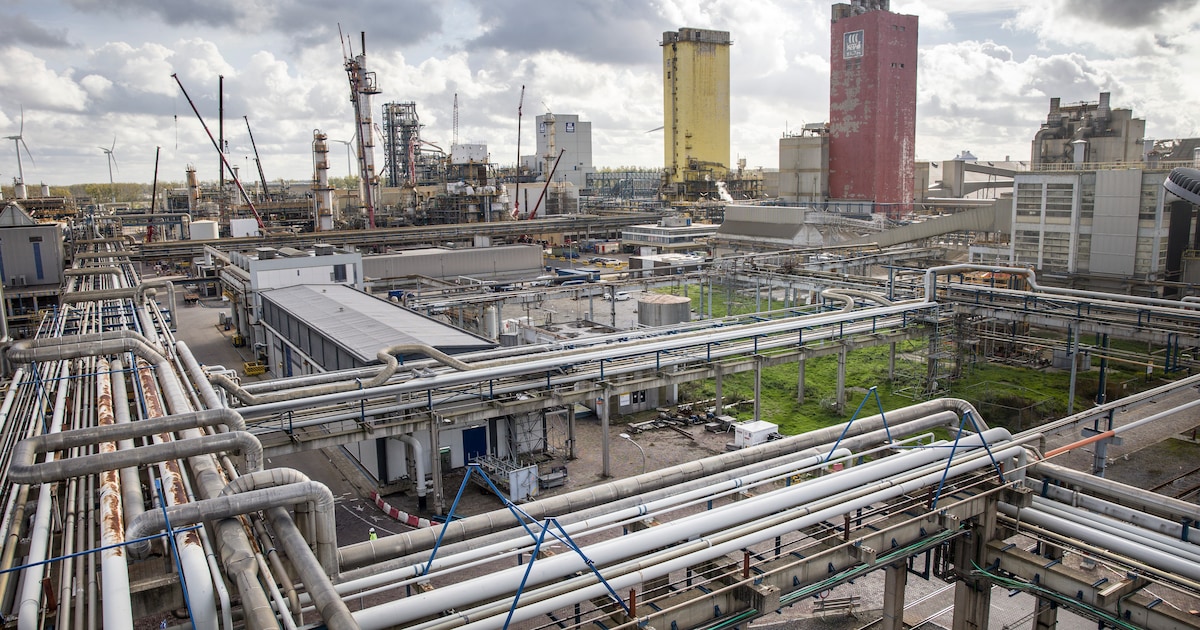 Milieuclub MOB dringt aan op nieuw onderzoek naar stikstofuitstoot bij ...