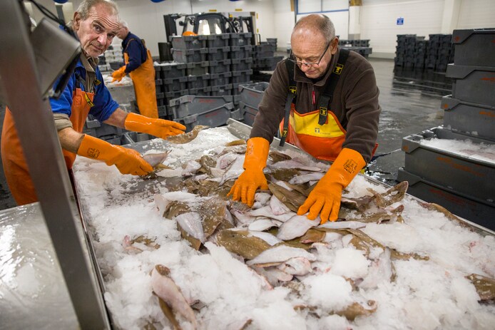Waarom alleen zalm op de kaart? ‘We zijn de lekkernijen van dichtbij ...