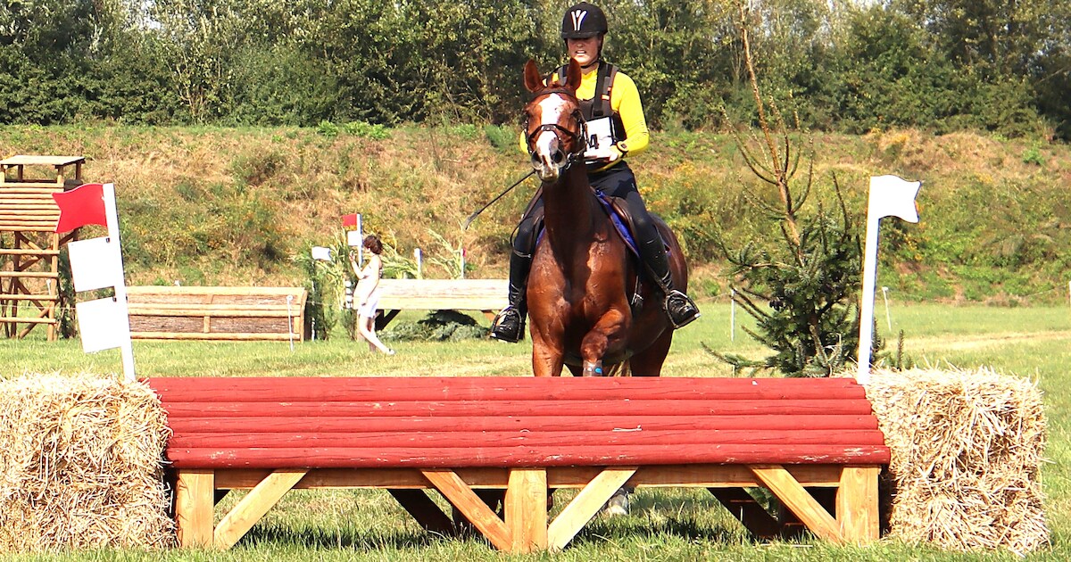 Jacqueline Zandee verovert titel met vosmerrie Liesette: ‘Een ideaal ...