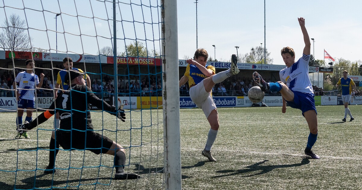 De jongste Hollander wint weer van zijn broer, VCK heeft er maar eentje ...