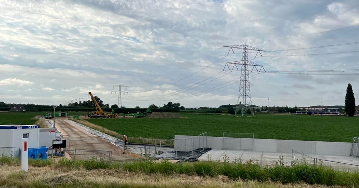 TenneT mag doorwerken op akkers Kruiningse bioboer | Bevelanden | PZC.nl