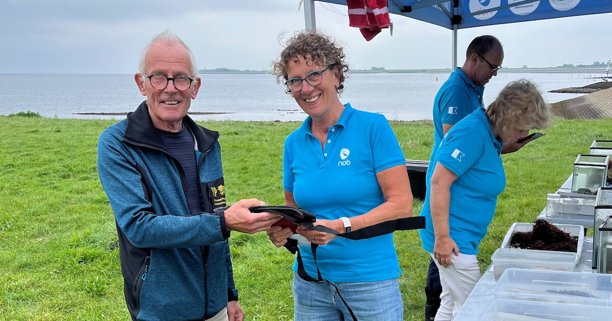 Duikers gaan met zakken om hun middel het water in om de Oosterschelde ...