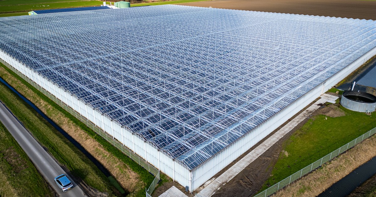 Teler staatswiet in Hellevoetse polder krijgt opnieuw boete voor stank ...