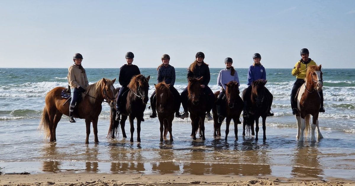 Drie keer wandelen: erop, met of zonder dier | De tip van | pzc.nl