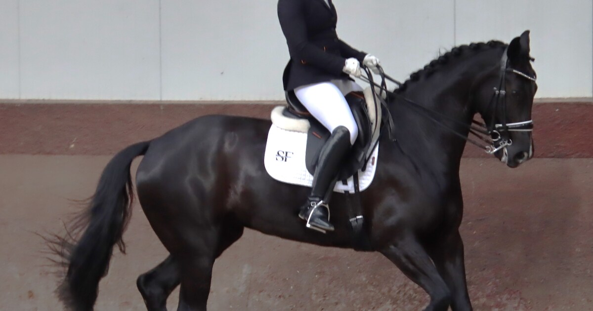 Stephanie de Frel oppermachtig met de merrie Nicaragua | Sport in ...