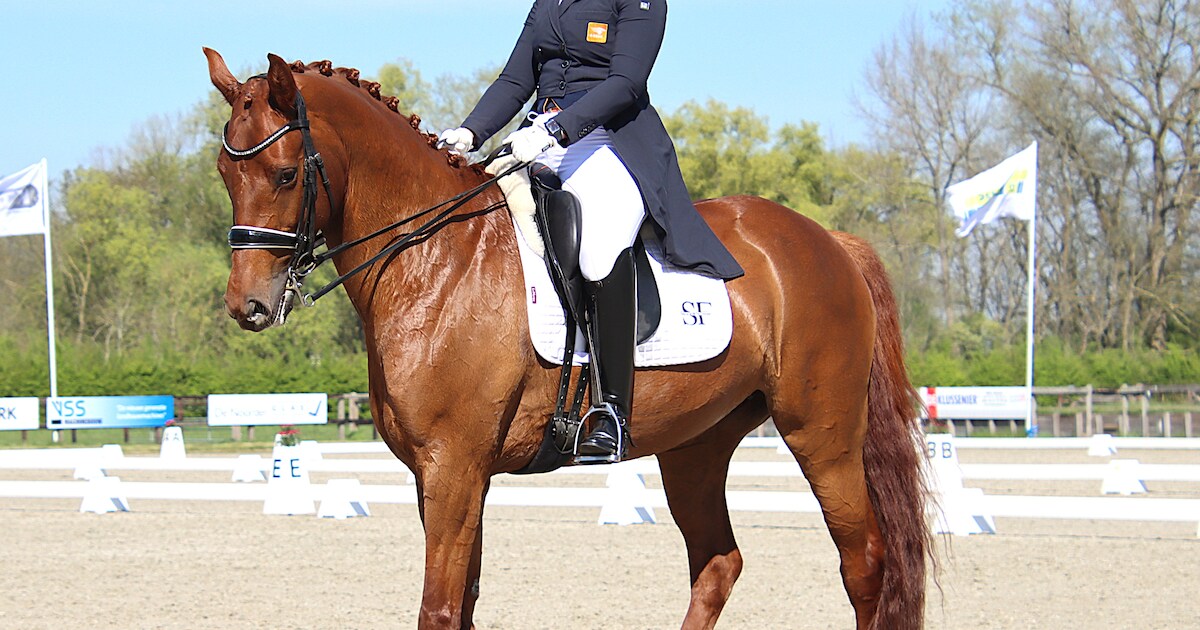 Stephanie de Frel op dreef bij Weelruiters in Nisse | Sport in Zeeland ...