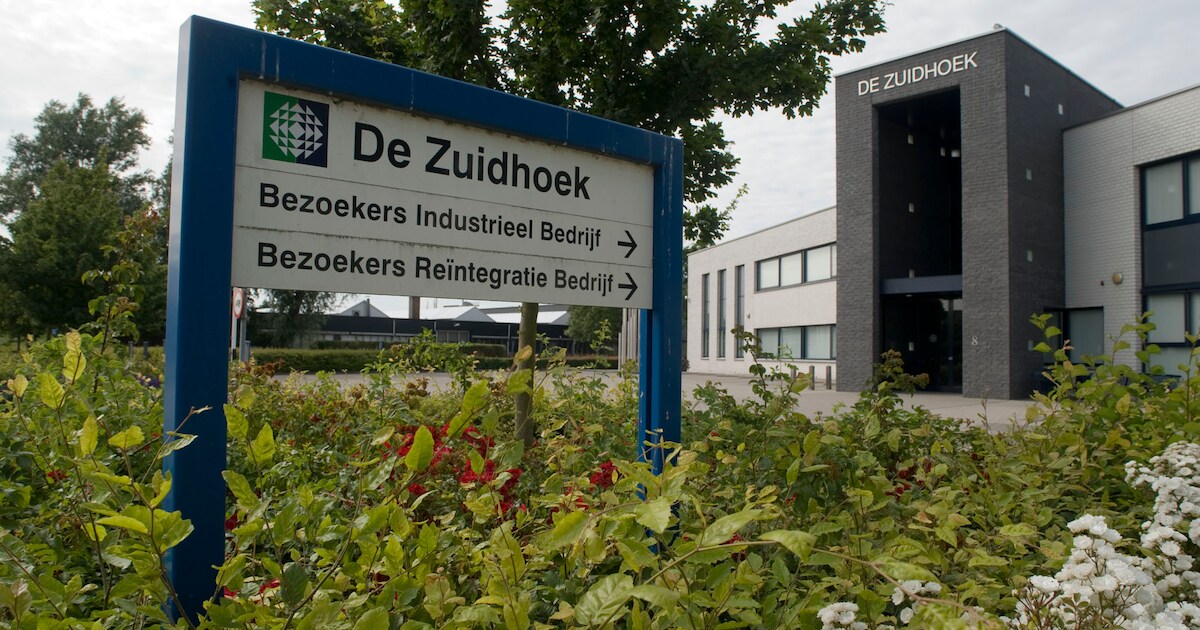 Ramen De Zuidhoek beplakt met posters over seksueel grensoverschrijdend ...