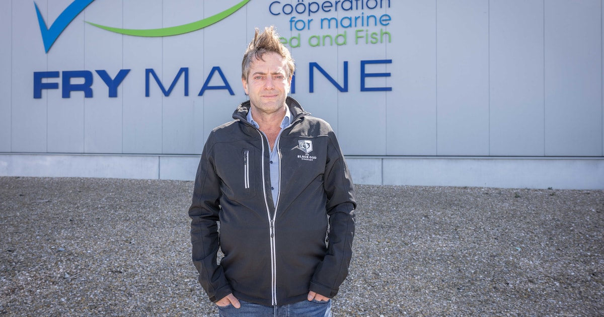 Mede-oprichter Kingfish begint een nieuwe viskwekerij in Kamperland: de ...