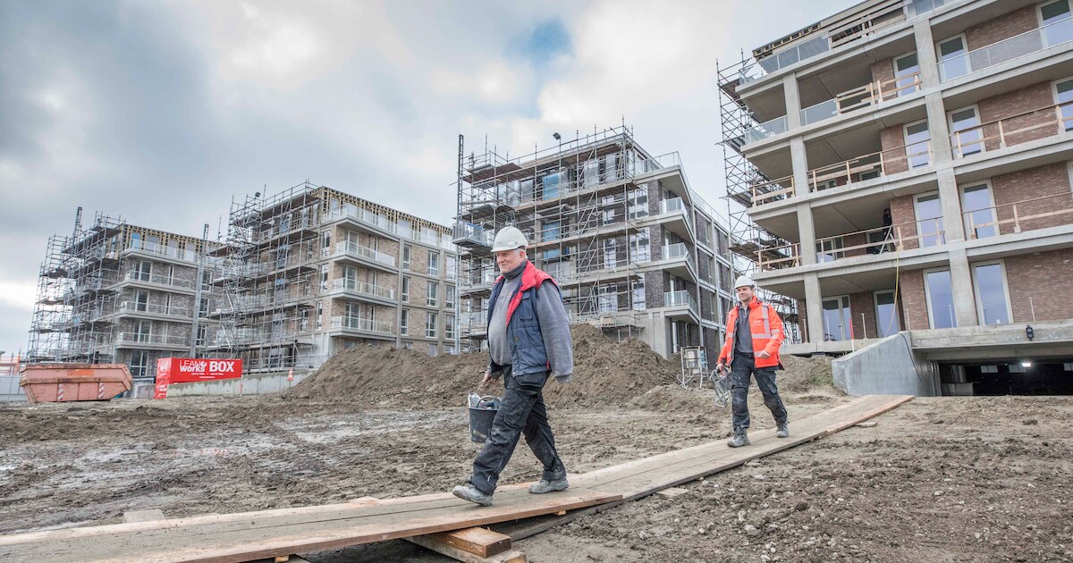 Noord-Beveland is de grootste Bevelandse groeier, ook Tholen heeft ...