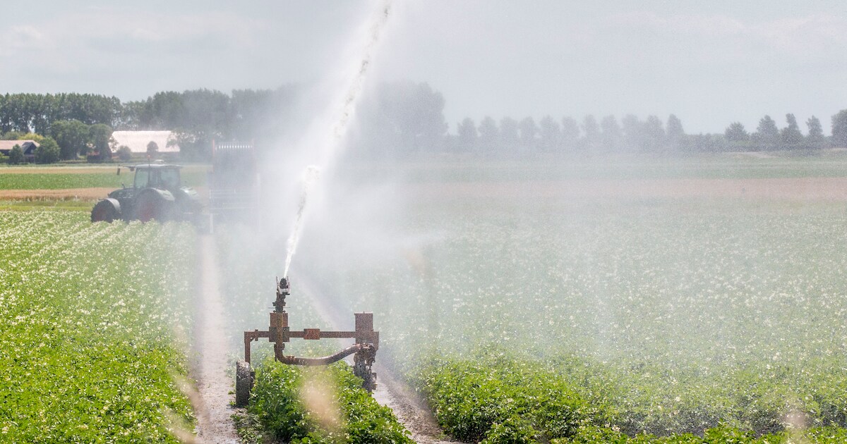 Studenten duiken in het watergebruik van Noord-Beveland en dat viel nog ...
