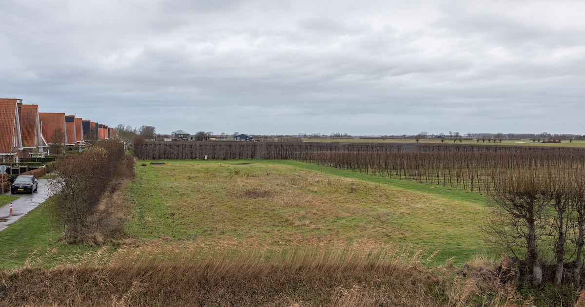 Gemeente zet rem op woningbouwplan met 216 huizen voor Zierikzee: focus ...