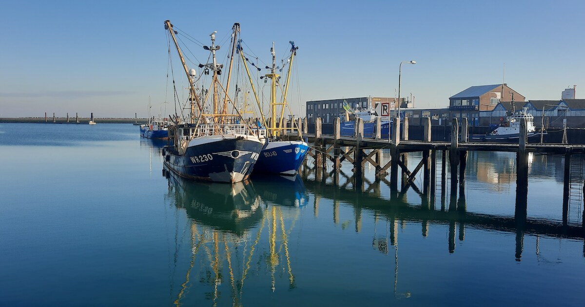 MIJN FOTO | Windstilte in de haven van Breskens | Van de lezer Zeeuws ...