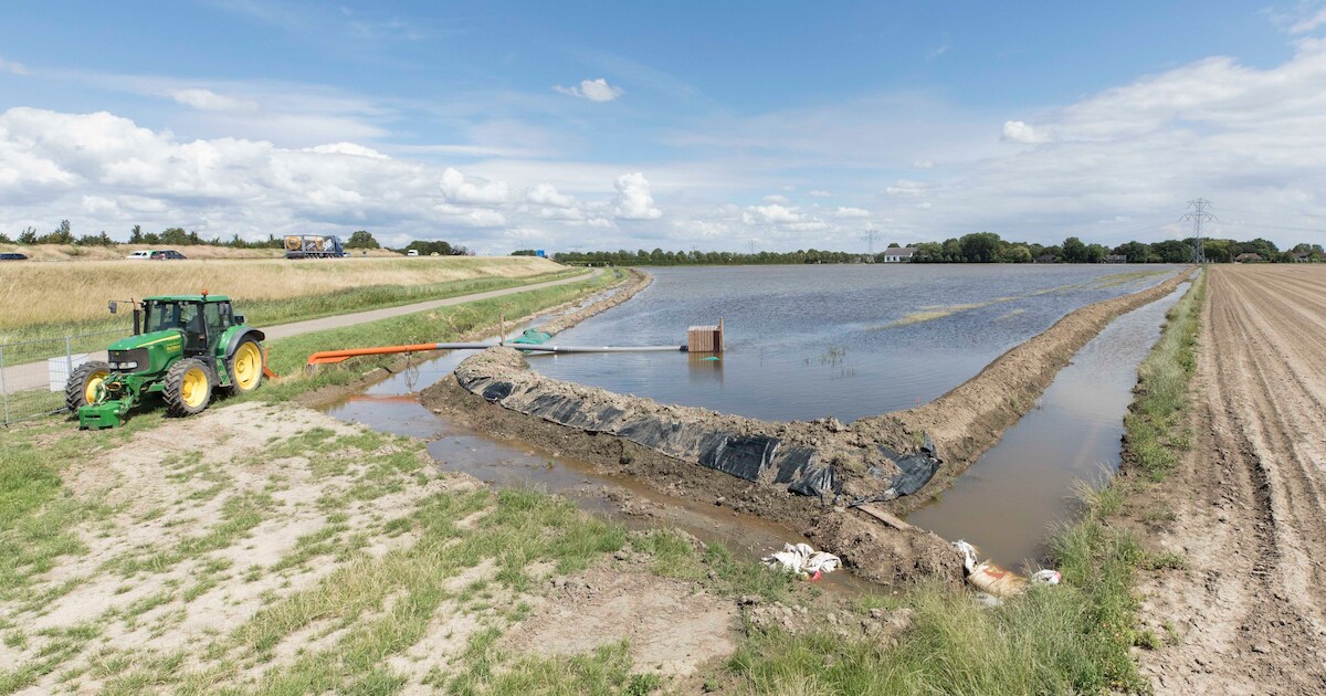 Rillandse boer maakt van akkerland een binnenmeer | Bevelanden | pzc.nl