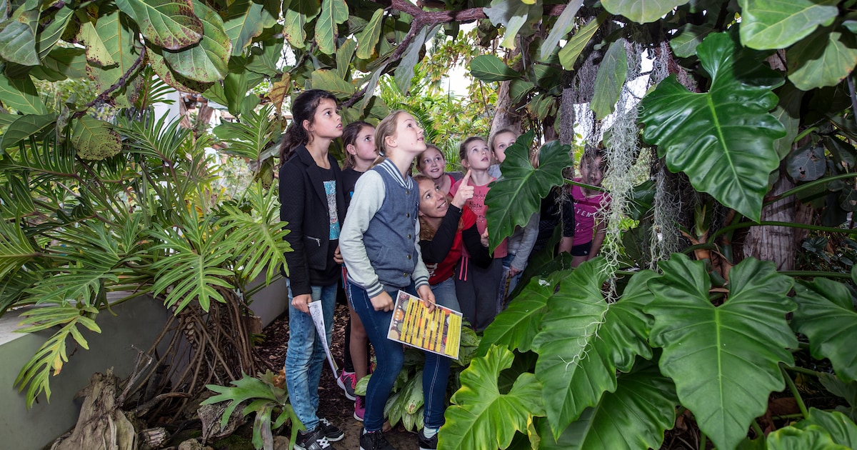 Tropisch bos in Goes mag nog even blijven, maar totaal andere invulling ...