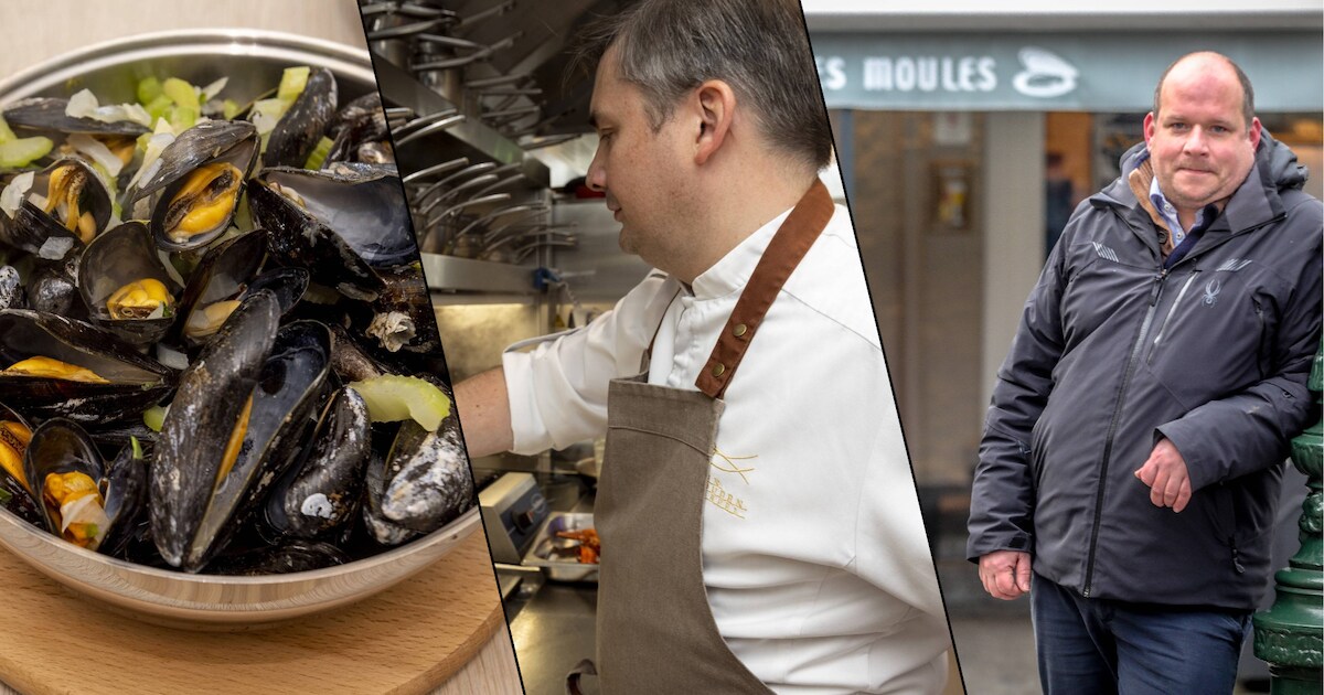 Paniek bij restaurants in België, maar Zeeuwse mosselen blijken de ...