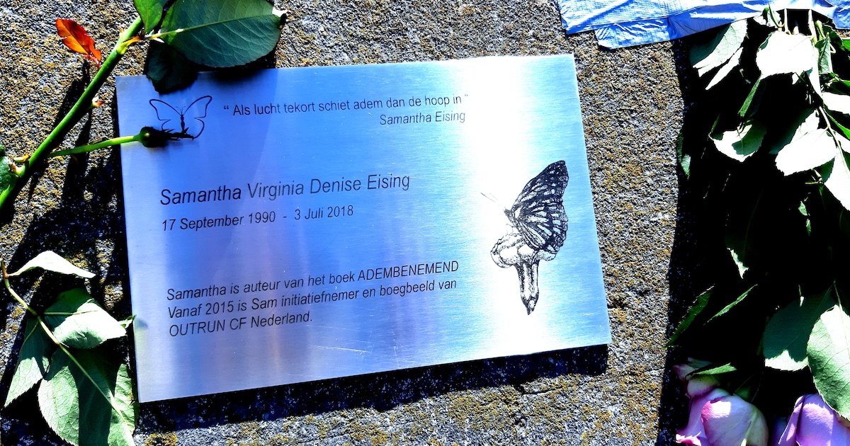 Ouders brengen tweede boek van overleden Vlissingse schrijfster ...